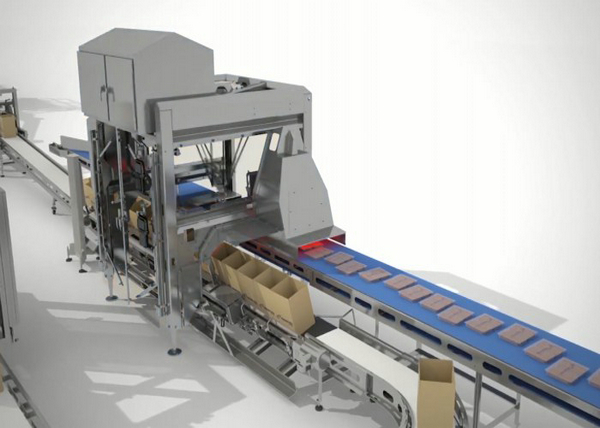 Chaîne de production automatique non standard/ligne de traitement et d ...